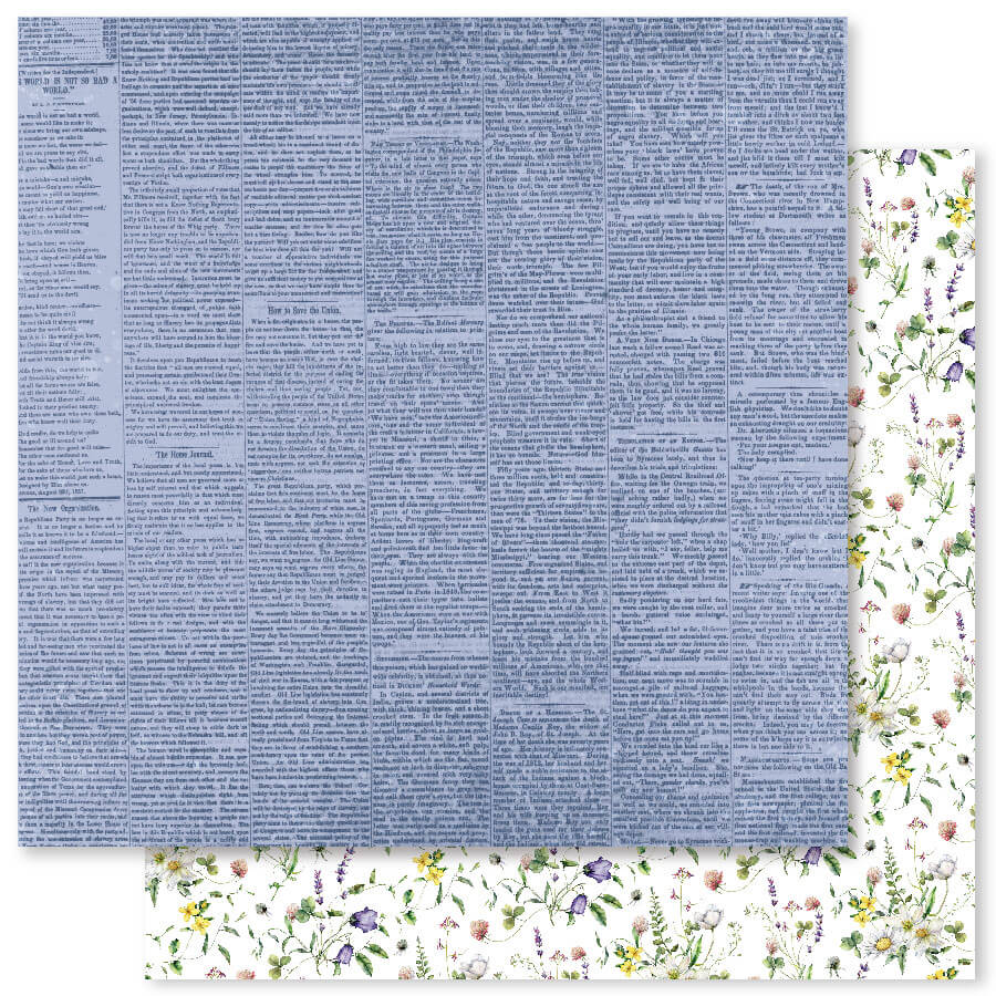 Summer Picnic Patterns 12x12 Paper Collection – The Scrap Room